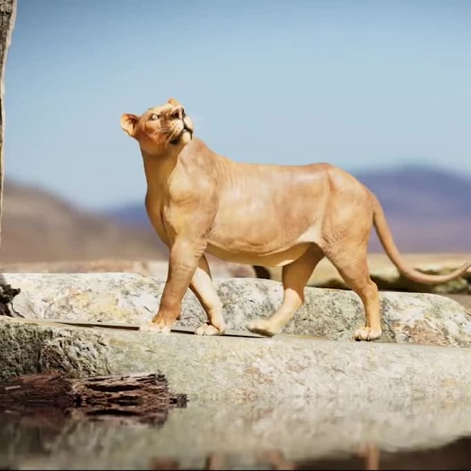 Do a realistic 3d vfx animal animation, animal model, 3d pet animation ...