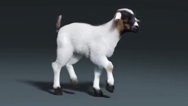 3d animal model realistic fur animal character xgen grooming hair by ...