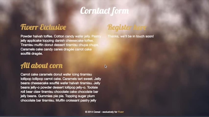 Create a beautiful responsive php form by Benvanlooy | Fiverr Create a beautiful responsive php form by Benvanlooy | Fiverr