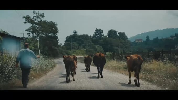 Prepare movie trailers for you by Adem_ada | Fiverr