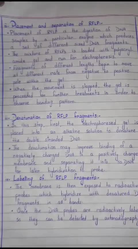 Do handwritten notes and assignments by Laibamaryam1 | Fiverr