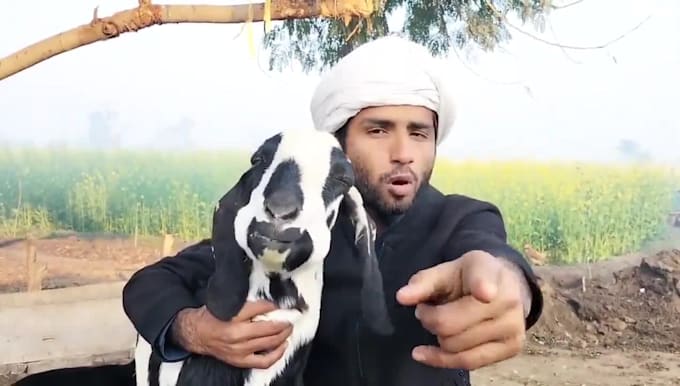 Funny happy birthday video funny happy birthday video by Moubeenn_2 ...