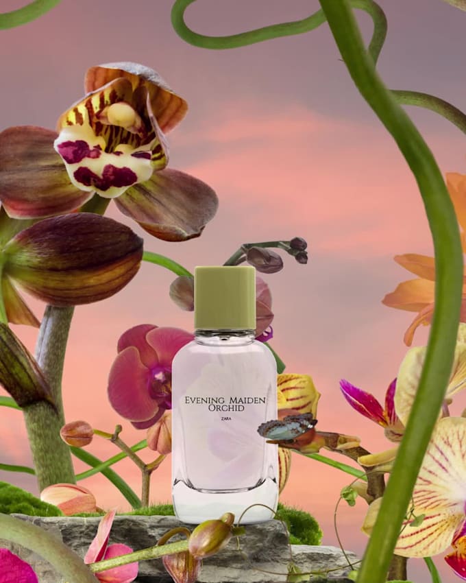 Collage animations in after effects by Alena_artemova | Fiverr