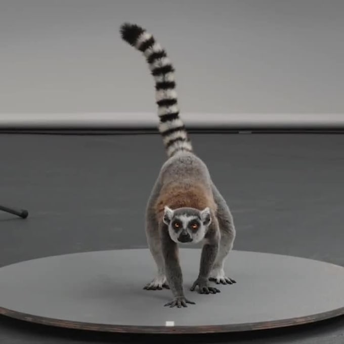 Do realistic 3d animal animation, 3d animal model, cgi animation, vfx ...