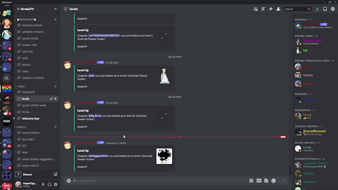 Make you a fully customized discord server by Aspencypress | Fiverr