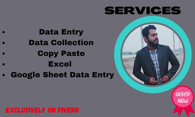 Do Data Entry Copy Paste Data Scraping Excel Web Research By