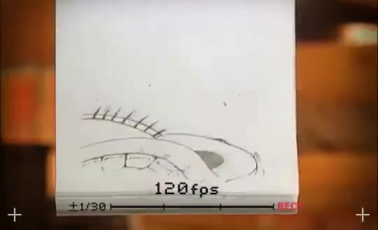 Draw 2d line art animation, pencil sketch, 2d traditional, 2d line art ...