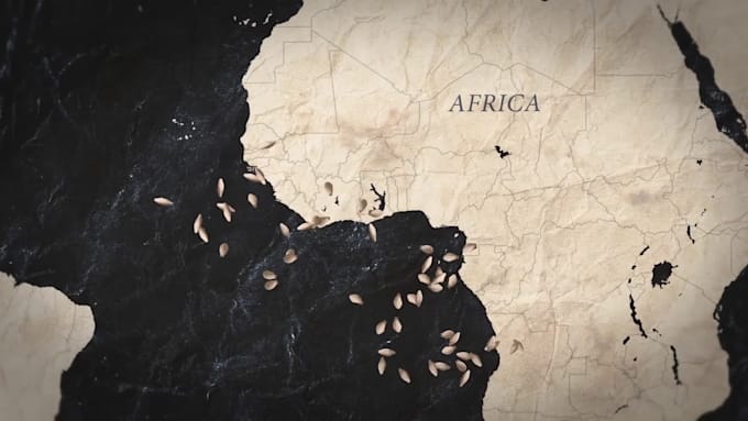 Design motion graphics for your documentary by Masa_studios | Fiverr