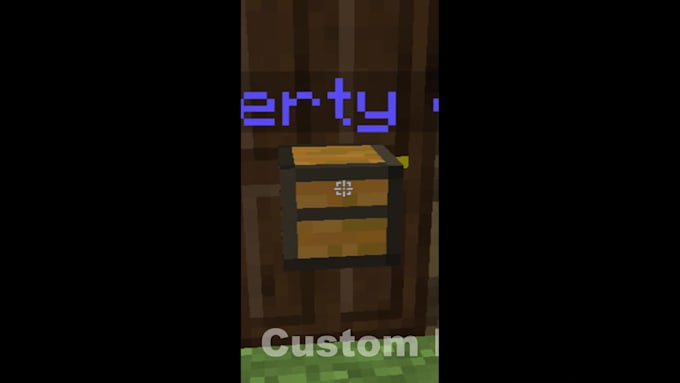 Build you a professional minecraft plugin or gamemode in spigot, paper ...