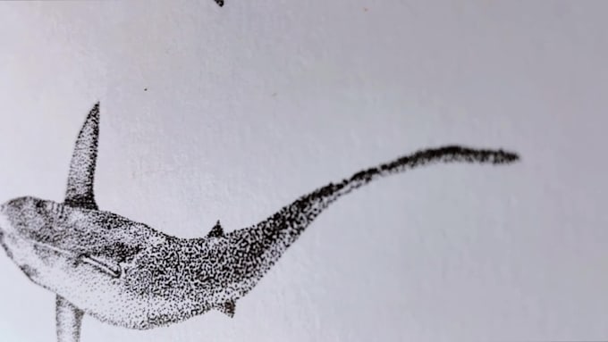 Pointillism illustrations of animals by Shdlp92 | Fiverr