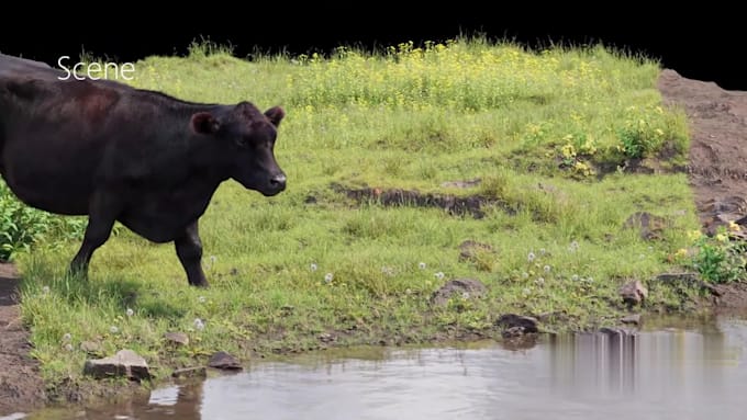 Do realistic cgi 3d animal animation, 3d animal model, 3d animal ...