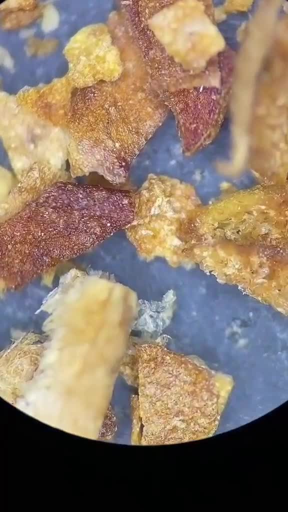 Create 3d medical animation, medical product, anatomy, medical device video by Ajijolamed | Fiverr