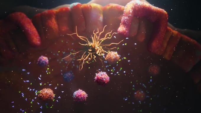 Create 3d high end medical animation, scientific animation, surgery ...