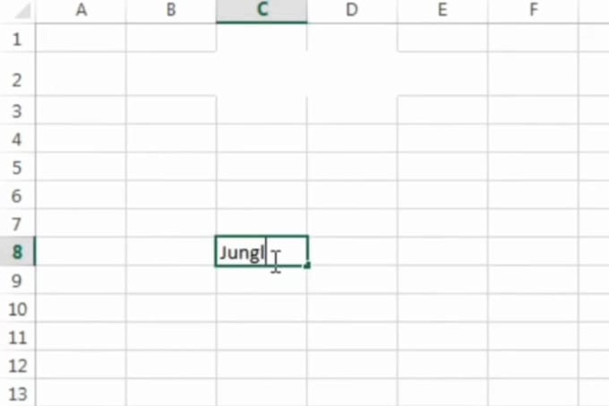 Create custom excel spreadsheet complex project in excel and budget ...