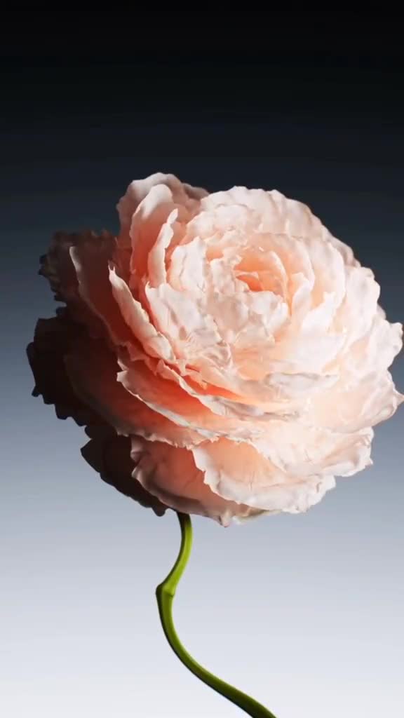 Do 3d flower animation, flower,, cgi, plant animation, 3d fashion ...