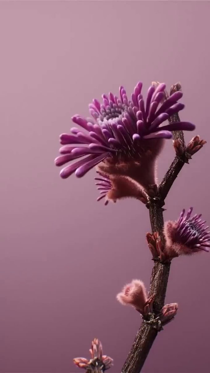 Do 3d flower model, cgi plant modeling, cgi flower, 3d flower design ...