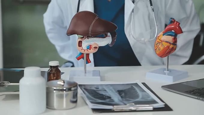 3d medical animation video 3d anatomy 3d surgery animation human body ...