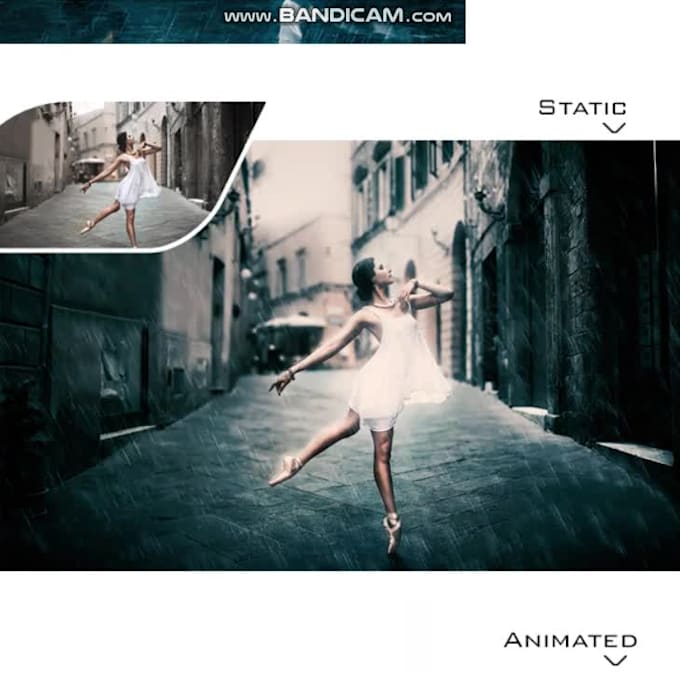 Add animated gif or static rain to your image by Vigani123 | Fiverr