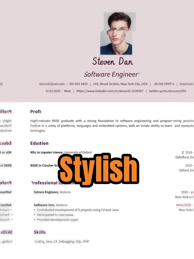 Create a professional cv for your dream job by Monicaduelm | Fiverr