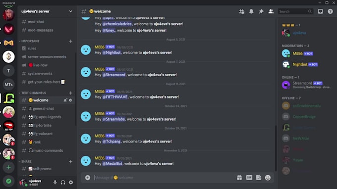 Build you a discord server by Ujo4eva | Fiverr