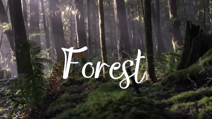 Create captivating hand drawn animations by Anva_vfx | Fiverr