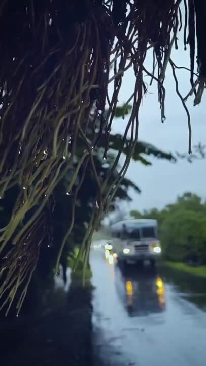 Add cool visual effects and color grading to your videos by Editing ...