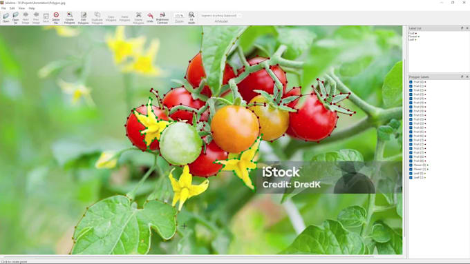 Do image data annotation to build your ai model by Tanzimzaman | Fiverr