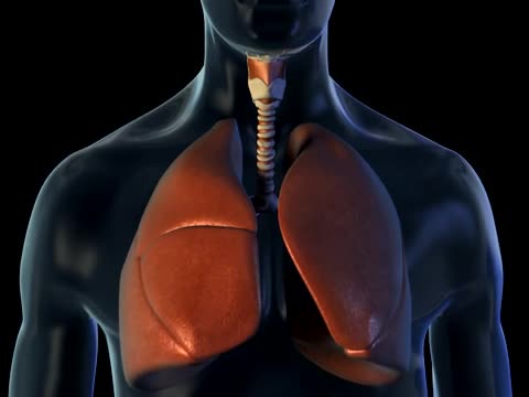 Create realistic 3d medical animation video,3d animation video,medical ...