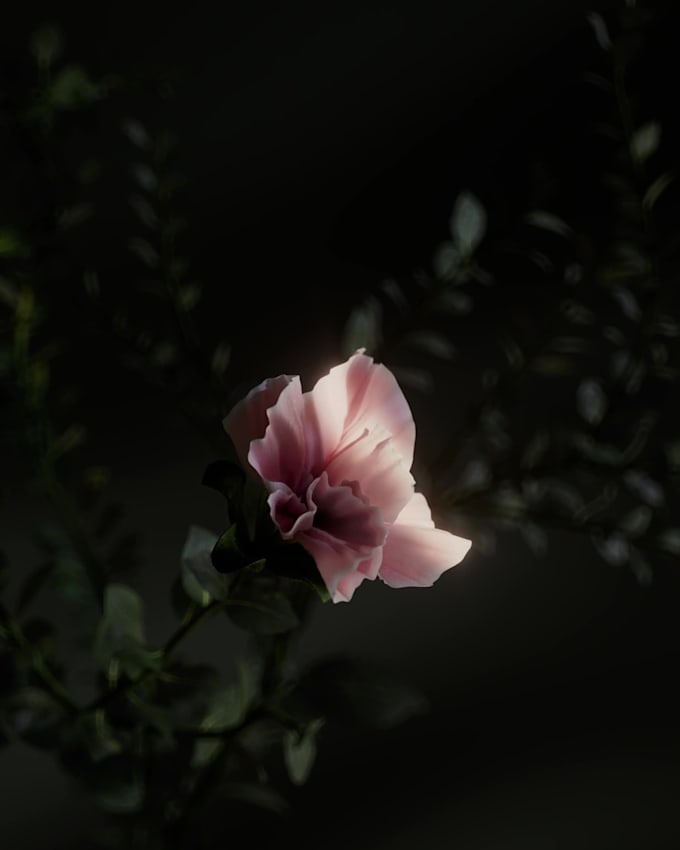 Create stunning 3d plant and flower animation for product or explainer ...