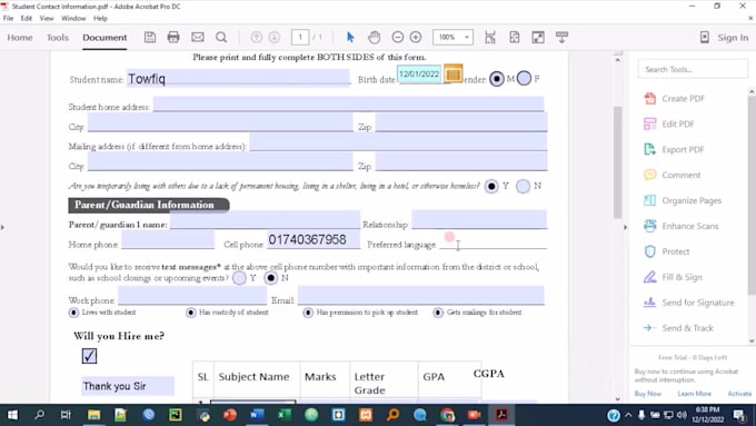 Do pdf, word and google docs fillable forms within your desired time by ...