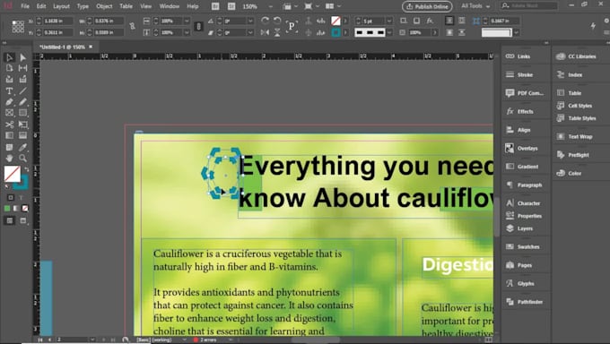 Do any adobe indesign work like magazine design book design by Camel ...