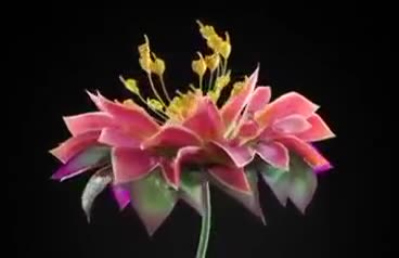 Render realistic 3d plant modeling, cgi flower design, 3d vfx plant ...