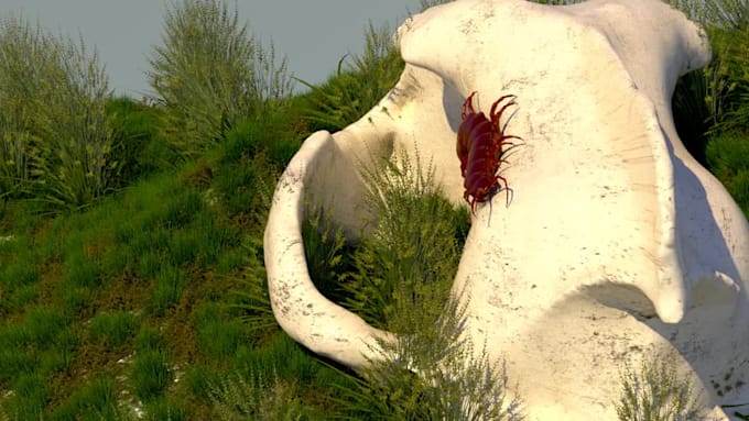 Animated centipede real natural objects animation by Asadgraphics656 ...