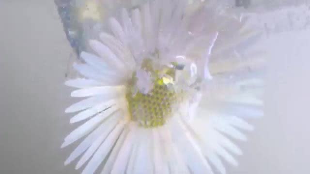 Render a high quality of 3d water simulation, 3d animation, liquid ...