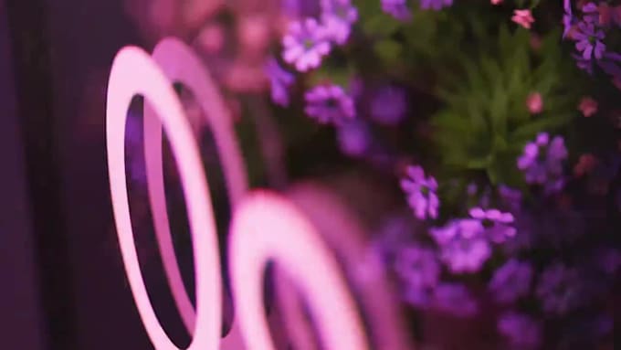 Make realistic 3d plant vfx vfx animation 3d flower animation cgi ...