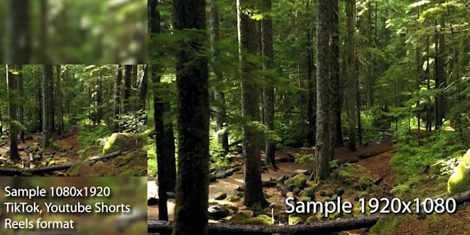 Do any video cropping, and trimming, render video by Dmytrostetsiuk | Fiverr