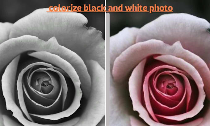 Turn black and white photos into colour photos by Mahermasial | Fiverr
