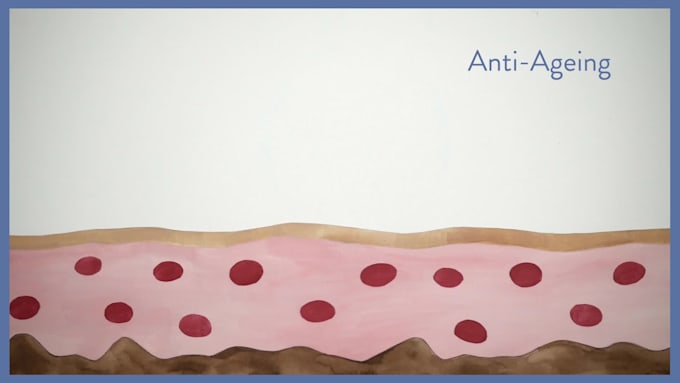 Craft unique educational videos and animated explainers in wonderful stop motion by Animateus_uk ...