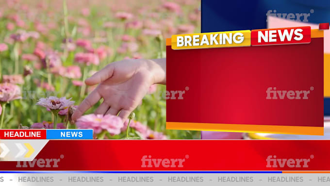 Professional motion graphics design for your news channel by Khangfxpk ...