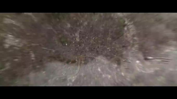 Translate, proof read and type faster in my gig description by ...