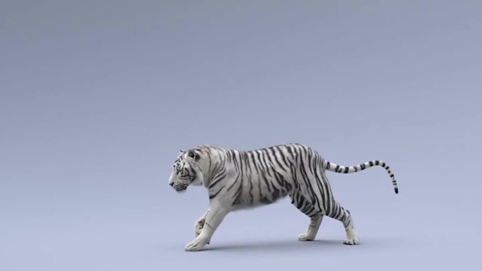 Integrate realistic 3d animal modeling, 3d animal rigging, 3d animal ...