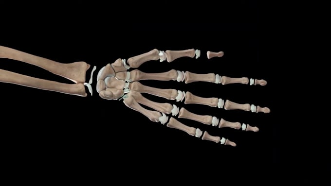 Create high quality 3d surgical procedure animation videos 3d anatomy ...