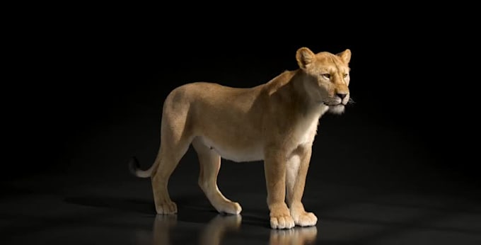 Do 3d animal model 3d fur xgen zbrush model blender maya model for ...