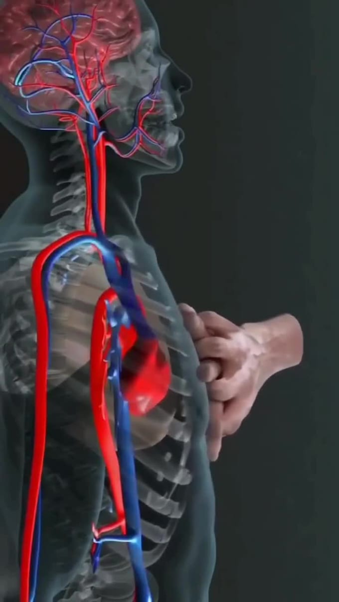 3d medical animation, 3d anatomy animation, 3d medical video, surgery ...