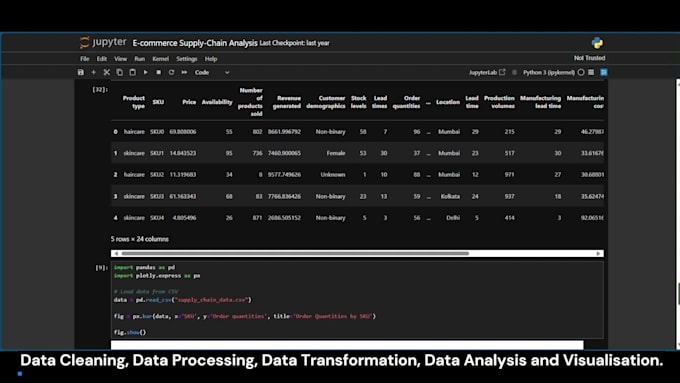Clean, analyse and visualise your data using python by H1mashree_b | Fiverr