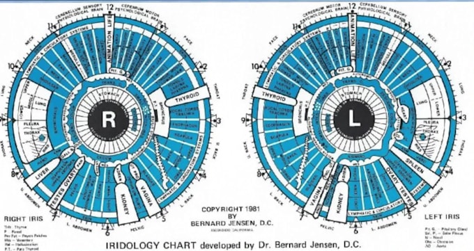 Do your iridology reading by Isabellebidou | Fiverr