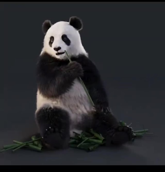 Do cgi 3d animal animation, 3d animal model, 3d animation, 3d animal ...