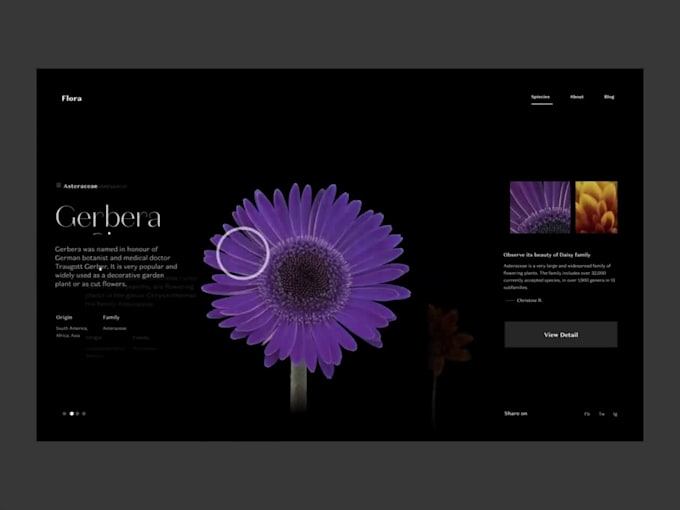 Interactive 3d animated webflow website 3d spline gsap threejs webflow ...