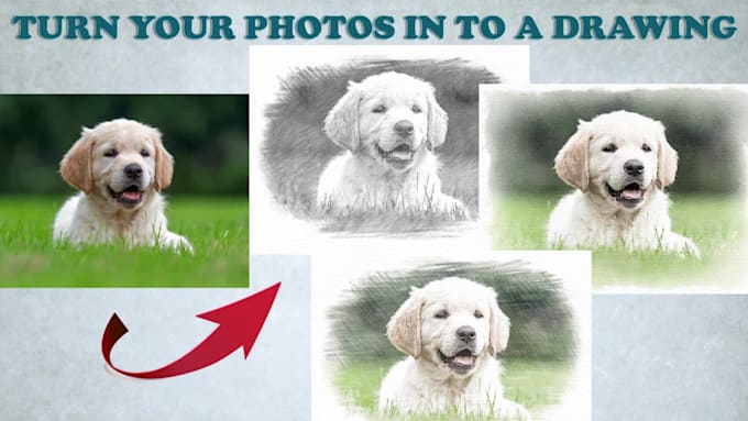 Make your photo to look like a drawing by Venvir | Fiverr