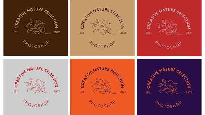 Design botanical boho logo with in 24 hours by Tair_graphics | Fiverr